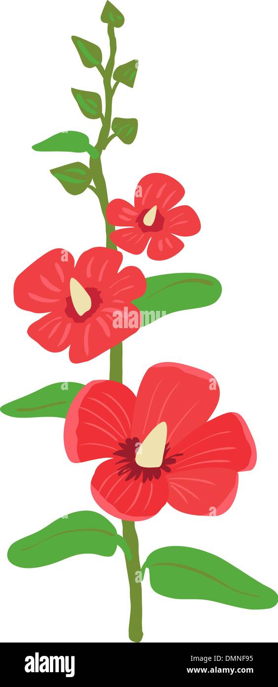 Illustration of mallow Stock Vector Image & Art - Alamy