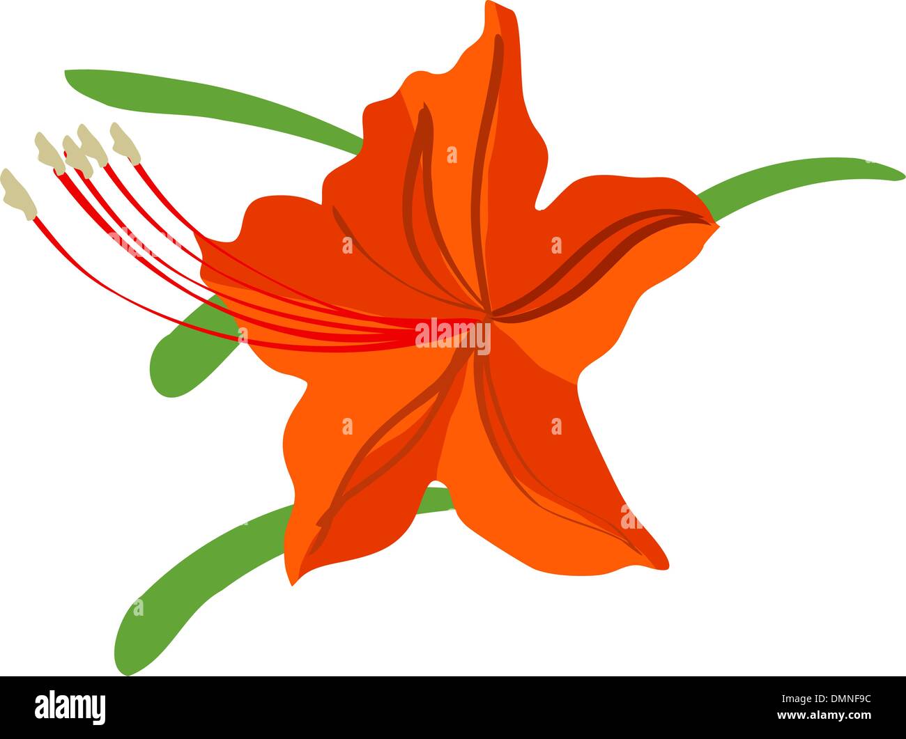 Illustration of rhododendron Stock Vector Image & Art - Alamy