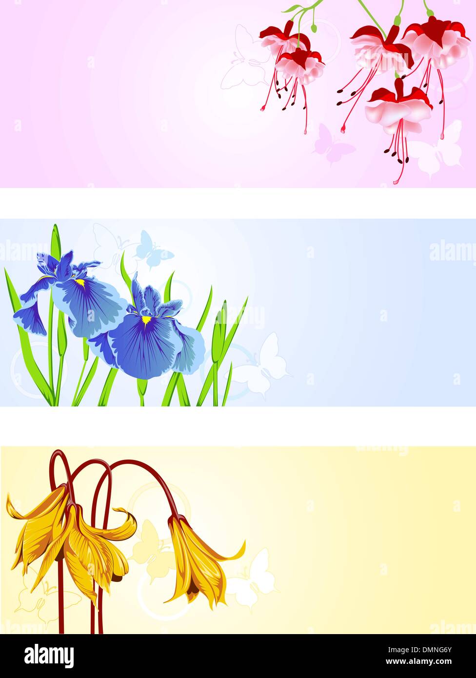 Butterfly iris flower Stock Vector Images - Alamy