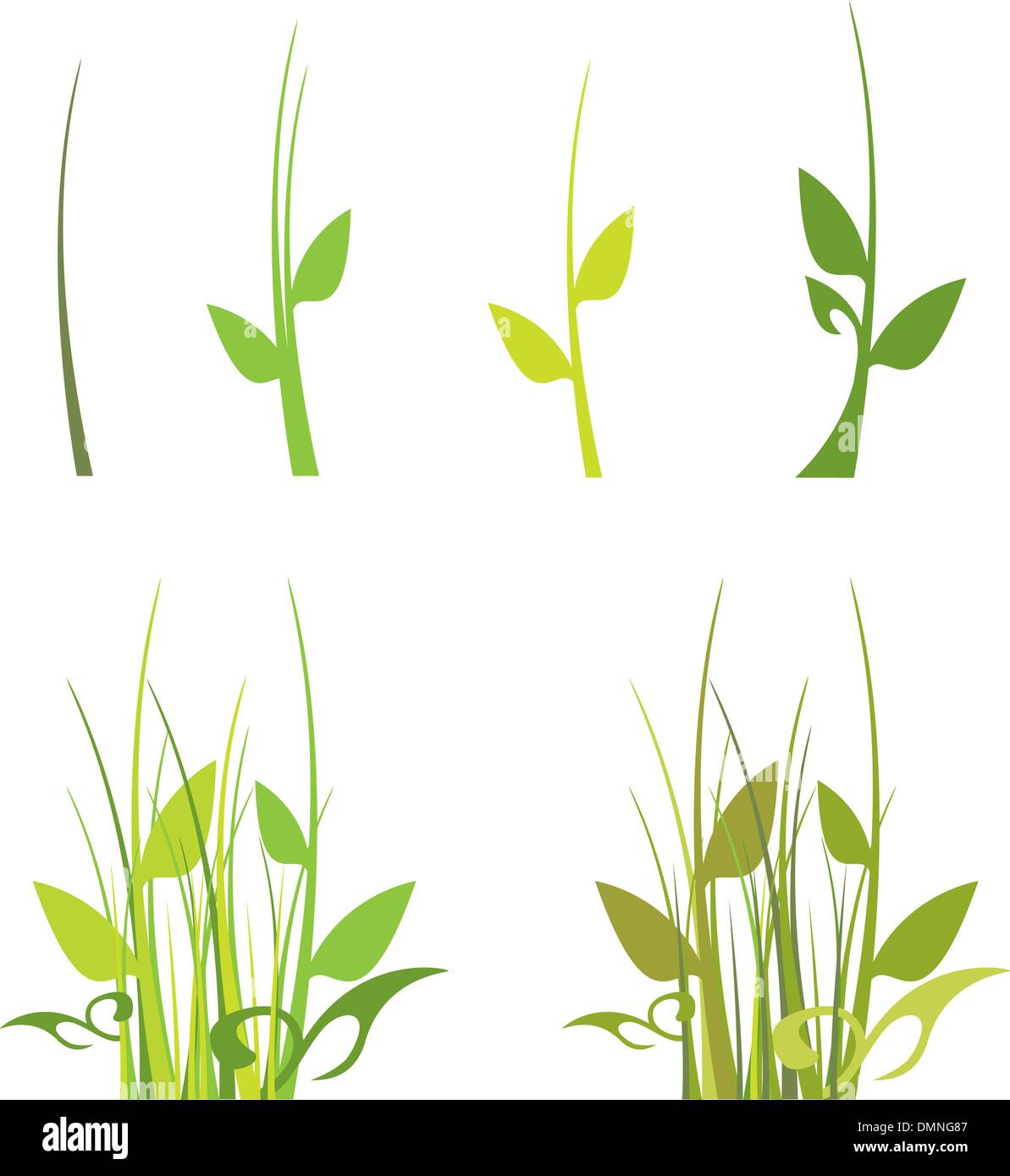 Ornamental grass Cut Out Stock Images & Pictures - Alamy