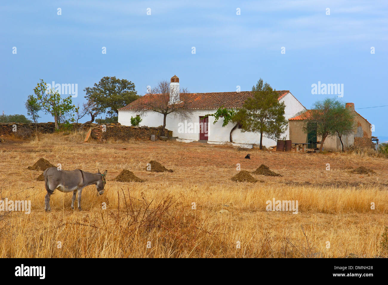 Monsaraz. Farm. Alentejo. Portugal, Europe Stock Photo - Alamy