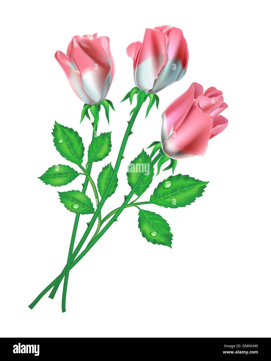 Rose stalks Stock Vector Images - Alamy