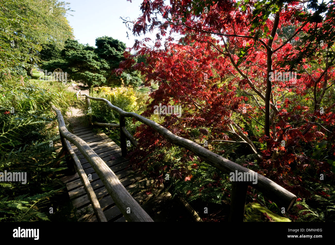 Leith hall garden hi-res stock photography and images - Alamy