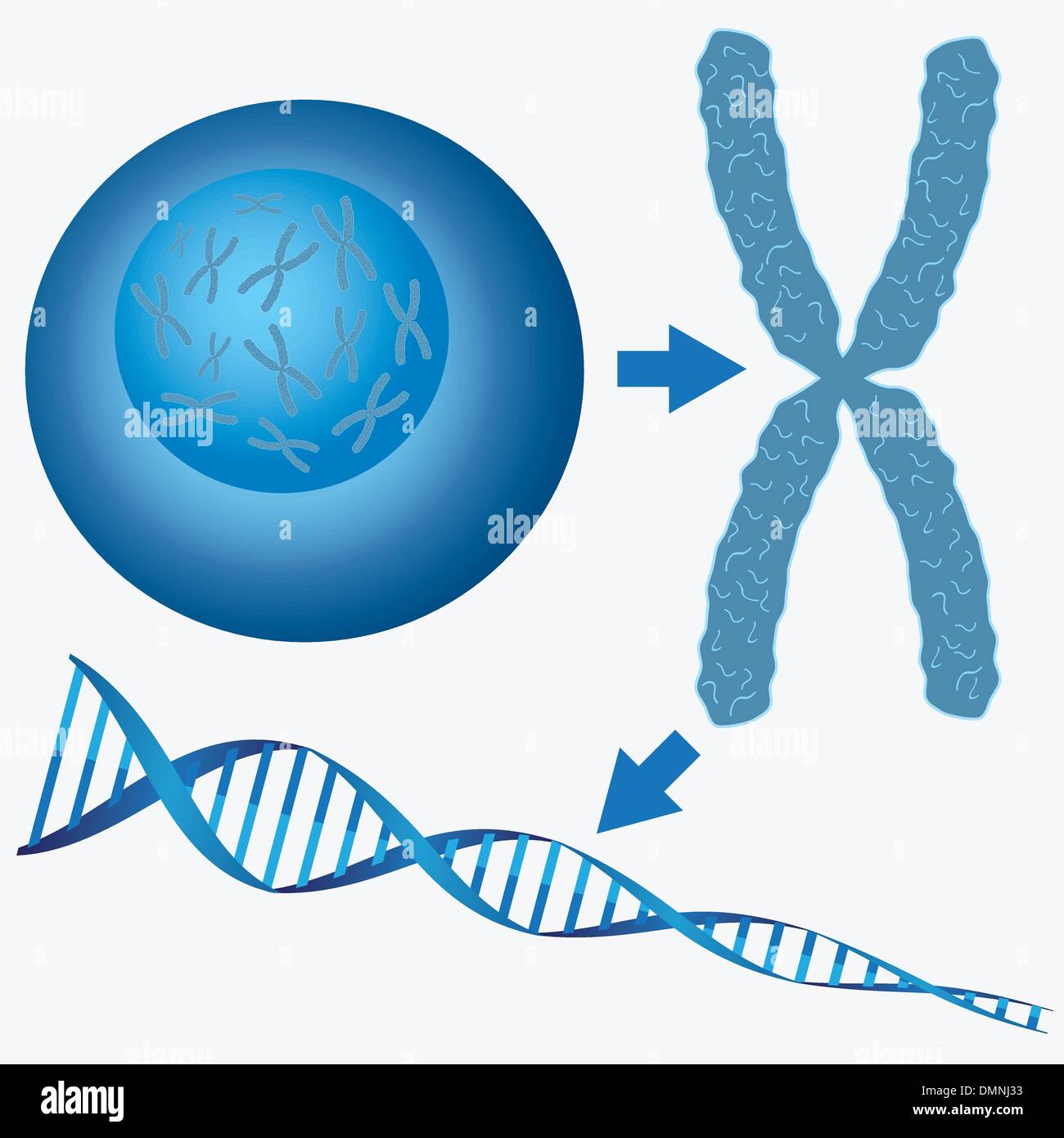 Dna research science genetic Cut Out Stock Images & Pictures - Alamy