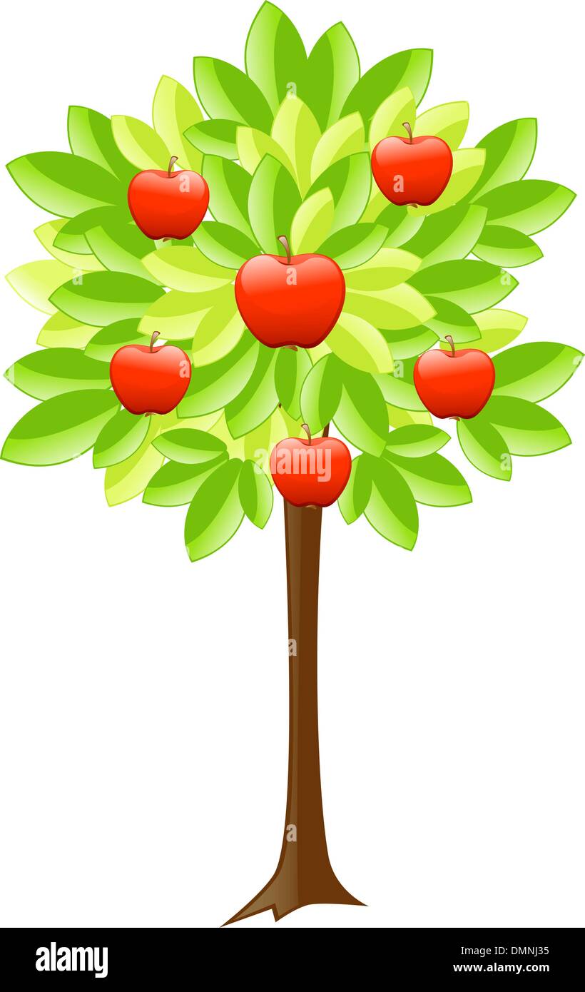 Apple tree summer not blossom not asia Stock Vector Images - Alamy