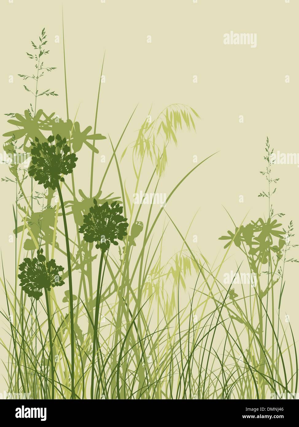 green grass background Stock Vector Image & Art - Alamy