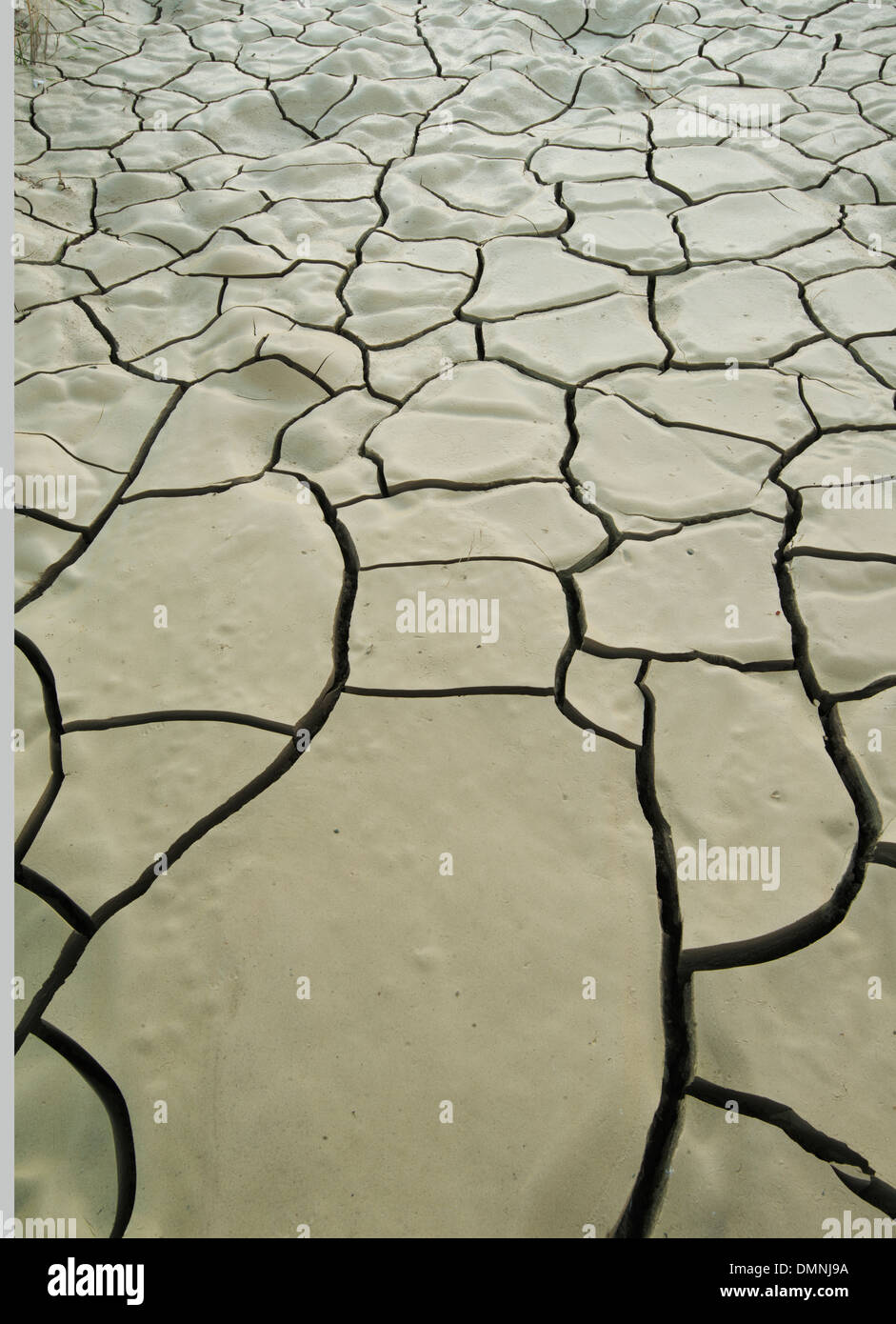 Dried Mud, late summer, Owyhee River Canyon, Eastern Oregon Stock Photo ...