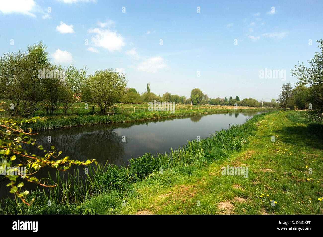Trout fishing river test hi-res stock photography and images - Alamy