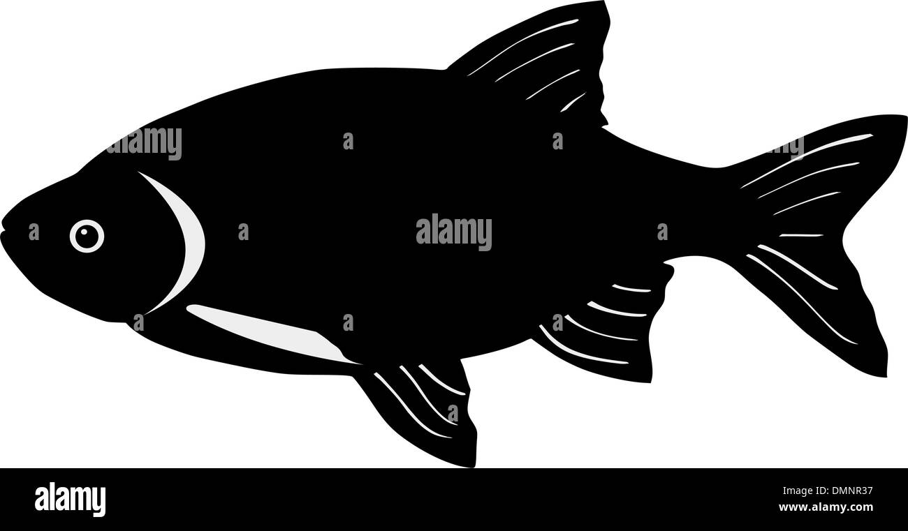 Rudd Stock Vector Images - Alamy