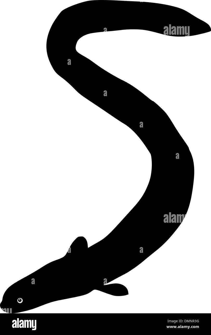 Silhouette of eel Stock Vector Image & Art - Alamy