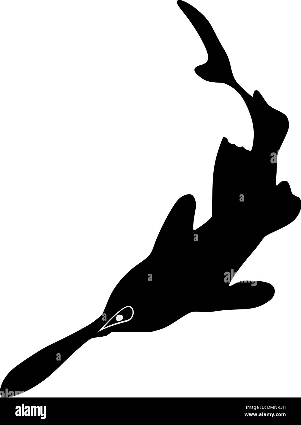 Silhouette of paddlefish Stock Vector Image & Art - Alamy