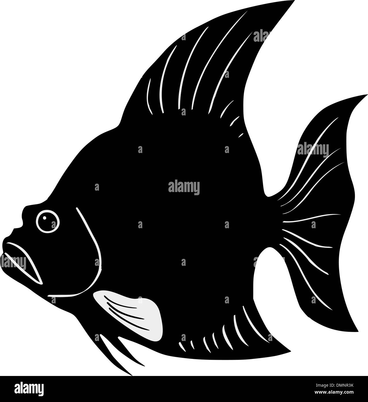 Spadefish Stock Vector Images - Alamy