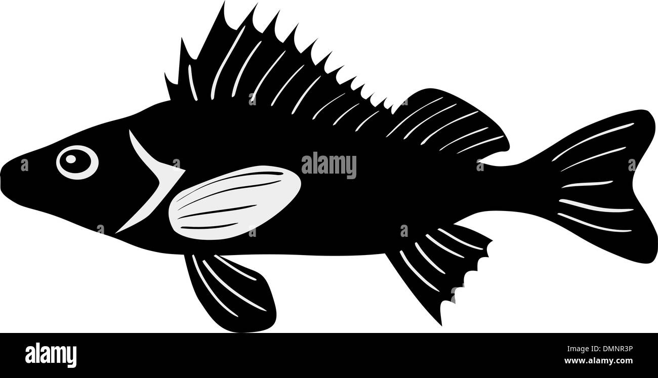 Silhouette of ruff Stock Vector Image & Art - Alamy