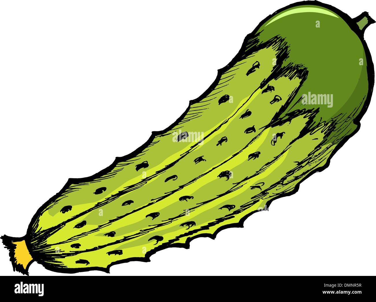 Cucumber agriculture Stock Vector Images - Alamy