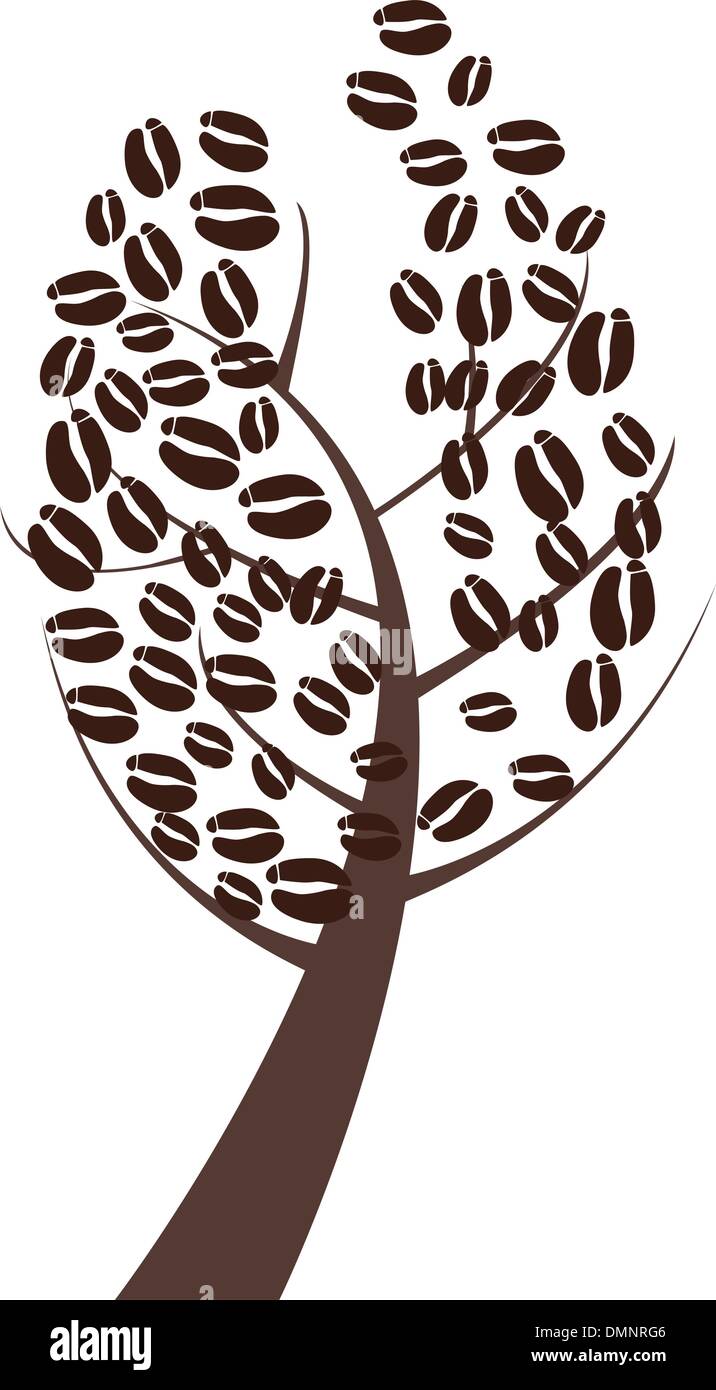 Coffee tree illustration Stock Vector Images - Alamy