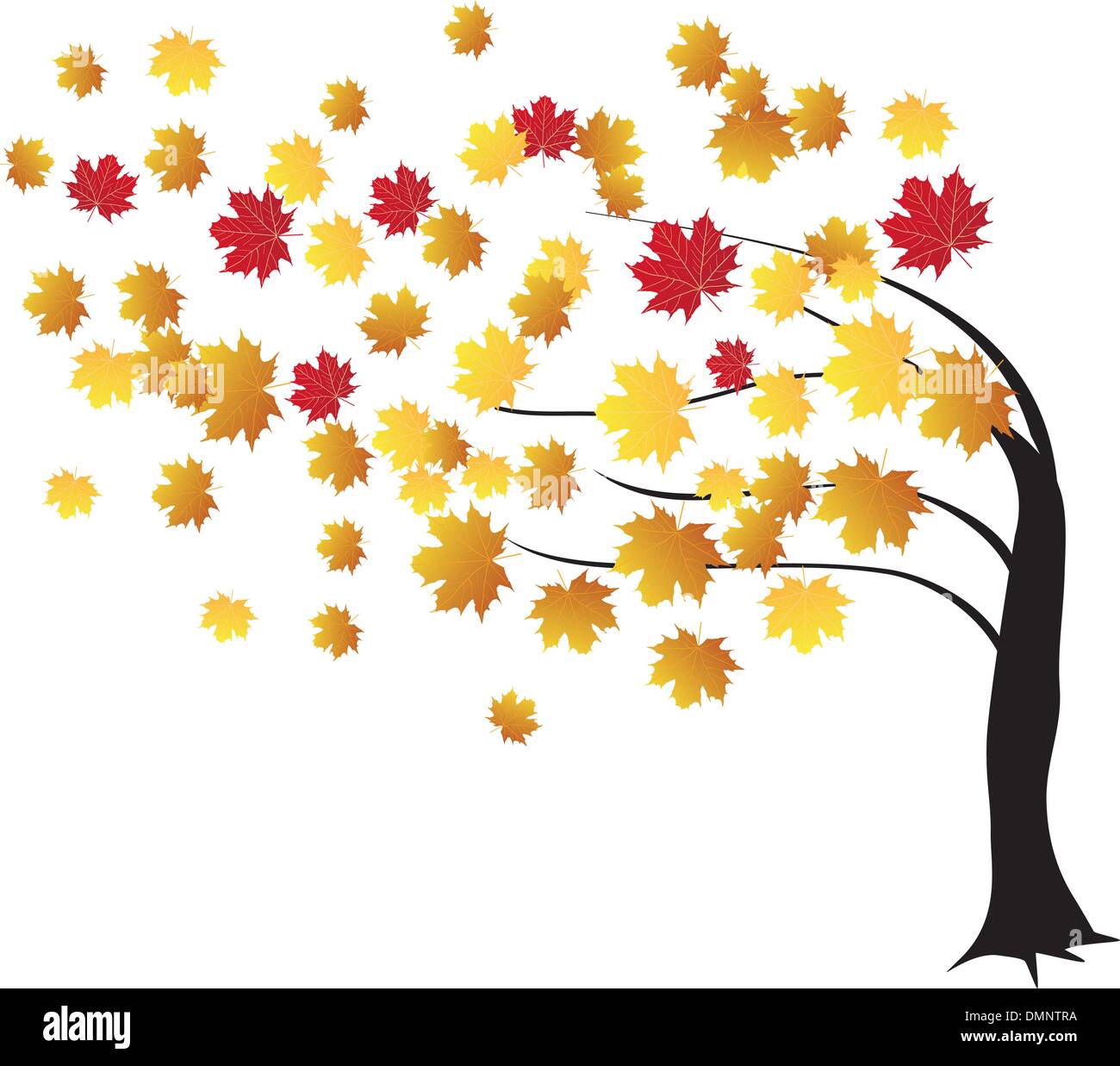 Landscape maple tree in Stock Vector Images - Alamy