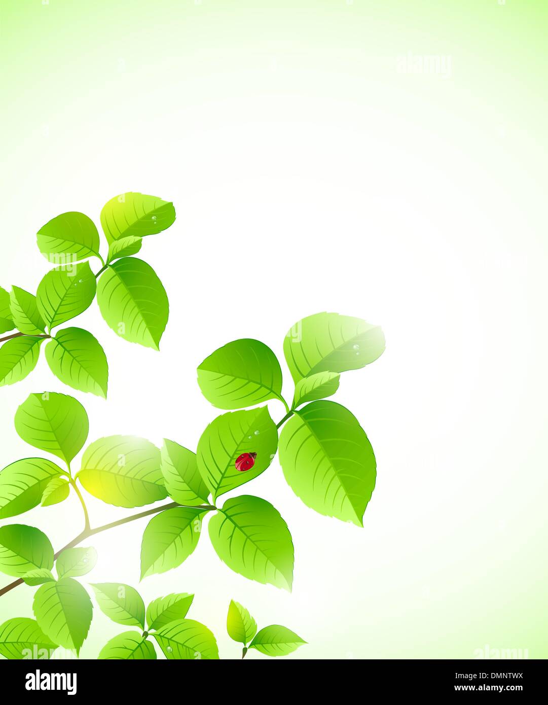 background with green branch Stock Vector Image & Art - Alamy