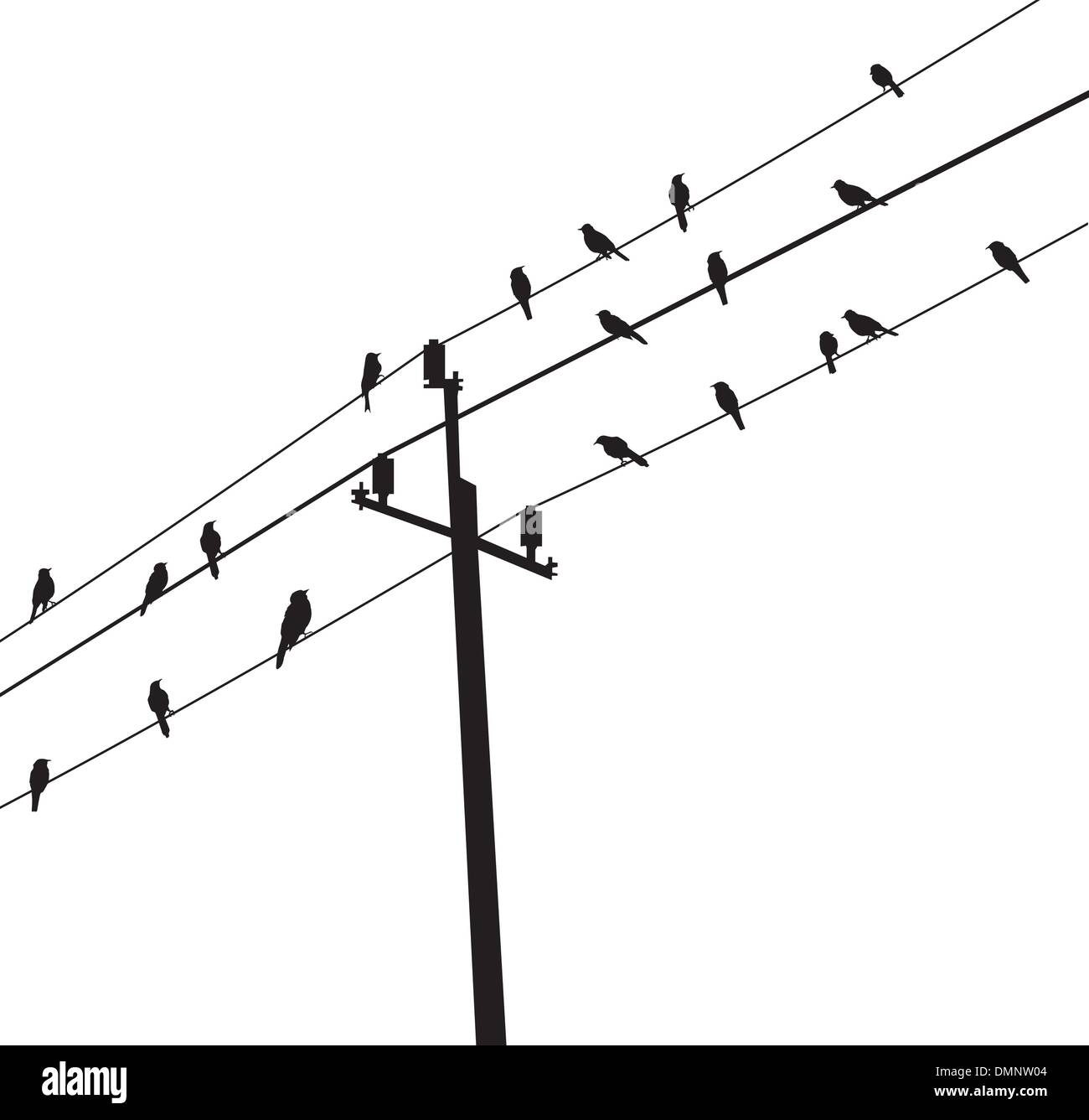 Autumn spring birds bird Stock Vector Images - Alamy