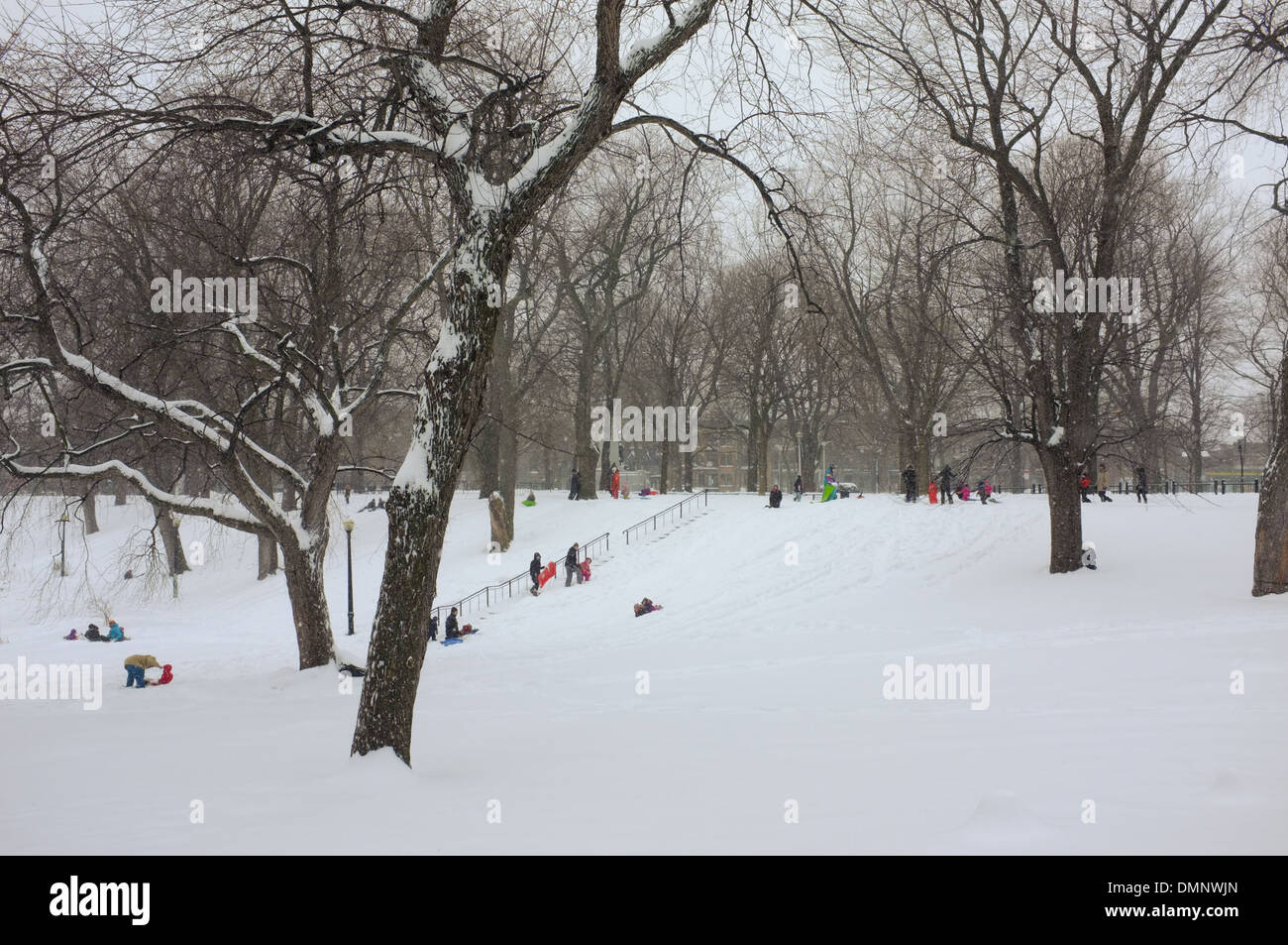 Children sledding at Parc Lafontaine in Montreal, Quebec Stock Photo ...