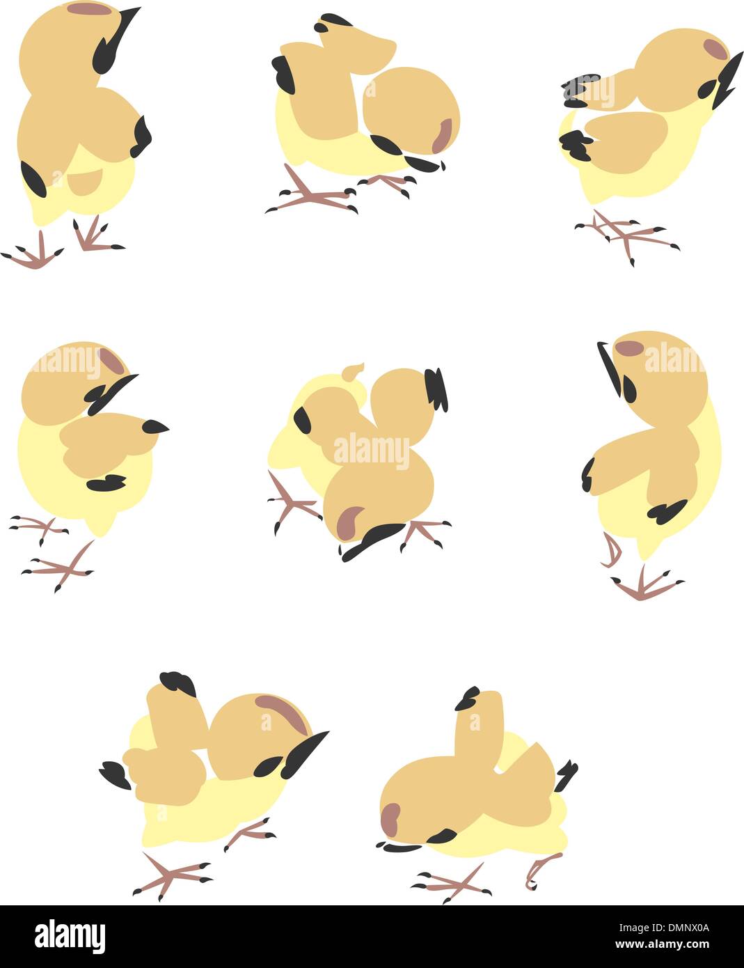 little chicken illustration Stock Vector Image & Art - Alamy