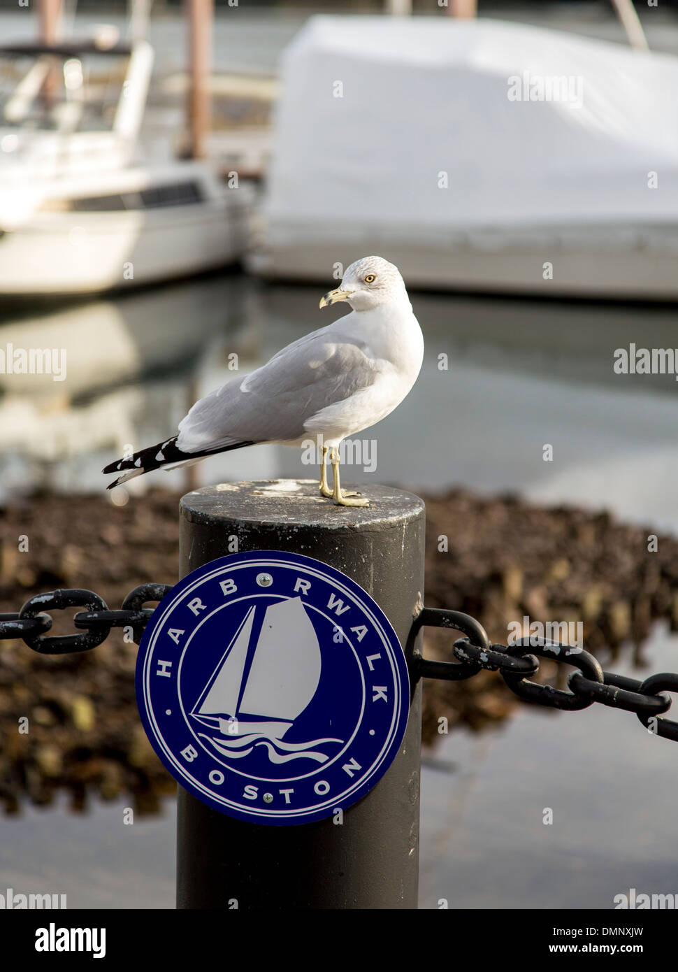 Harbor walk hi-res stock photography and images - Alamy