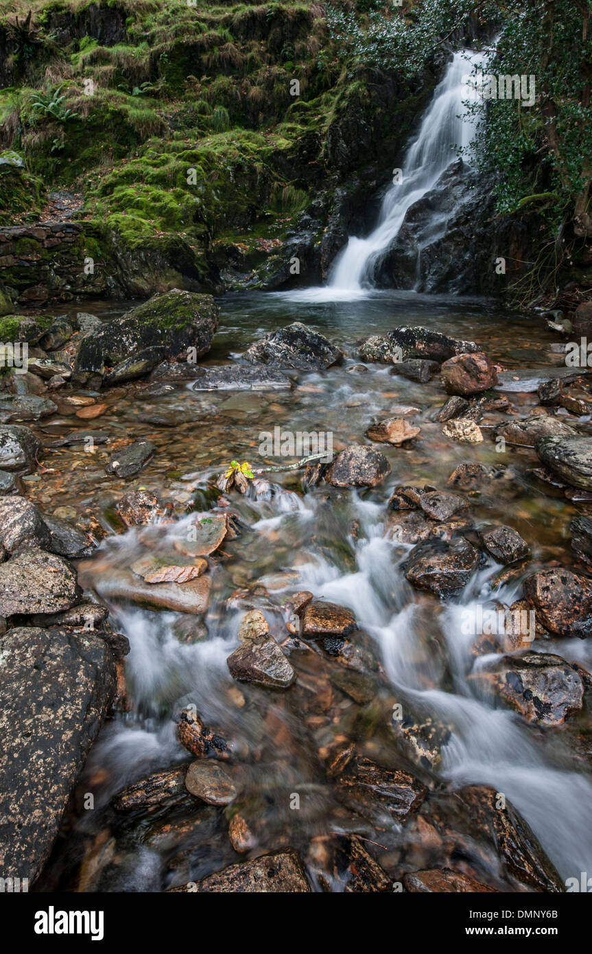 Woodland waterfall wales hi-res stock photography and images - Alamy