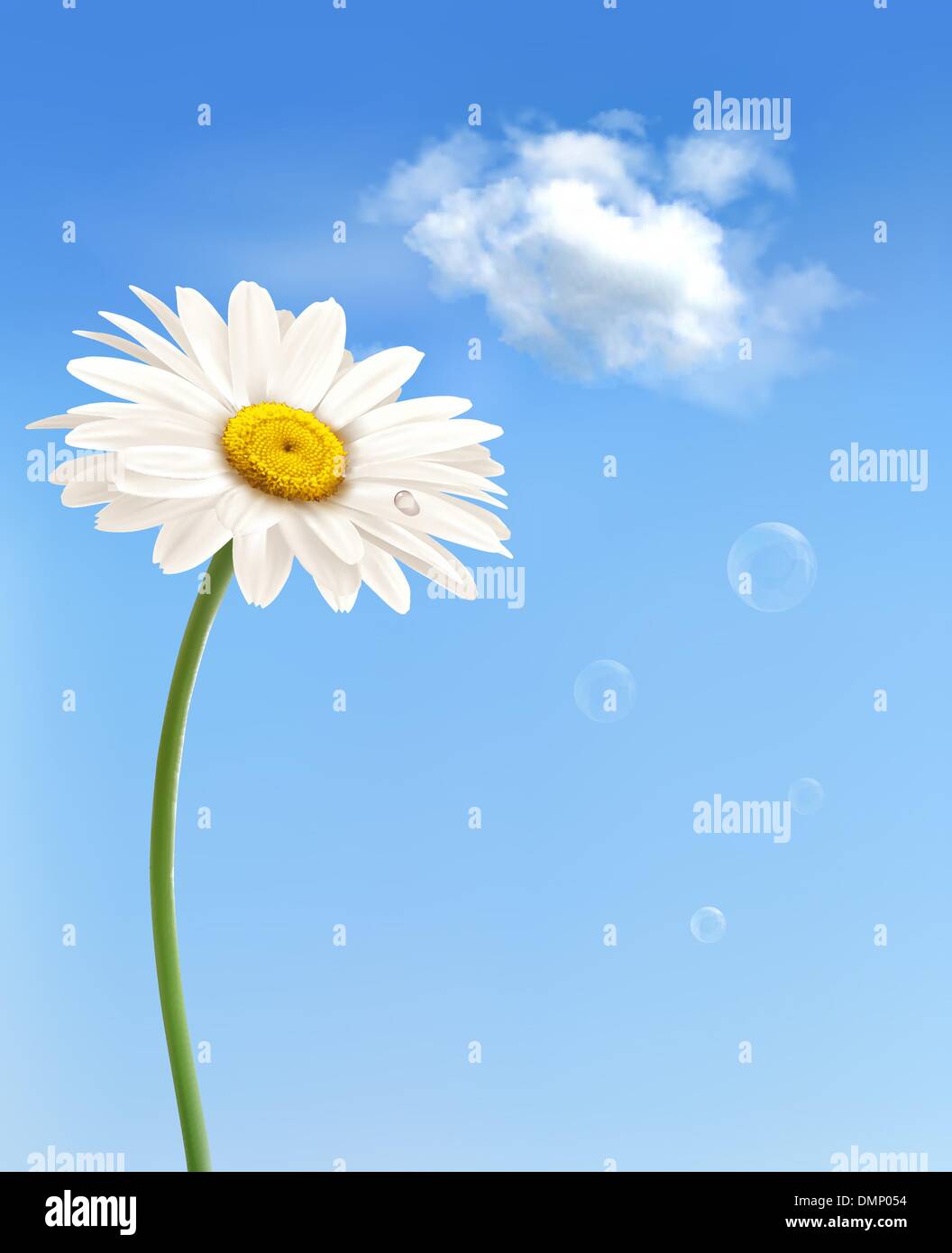 Front view leaf in Stock Vector Images - Alamy