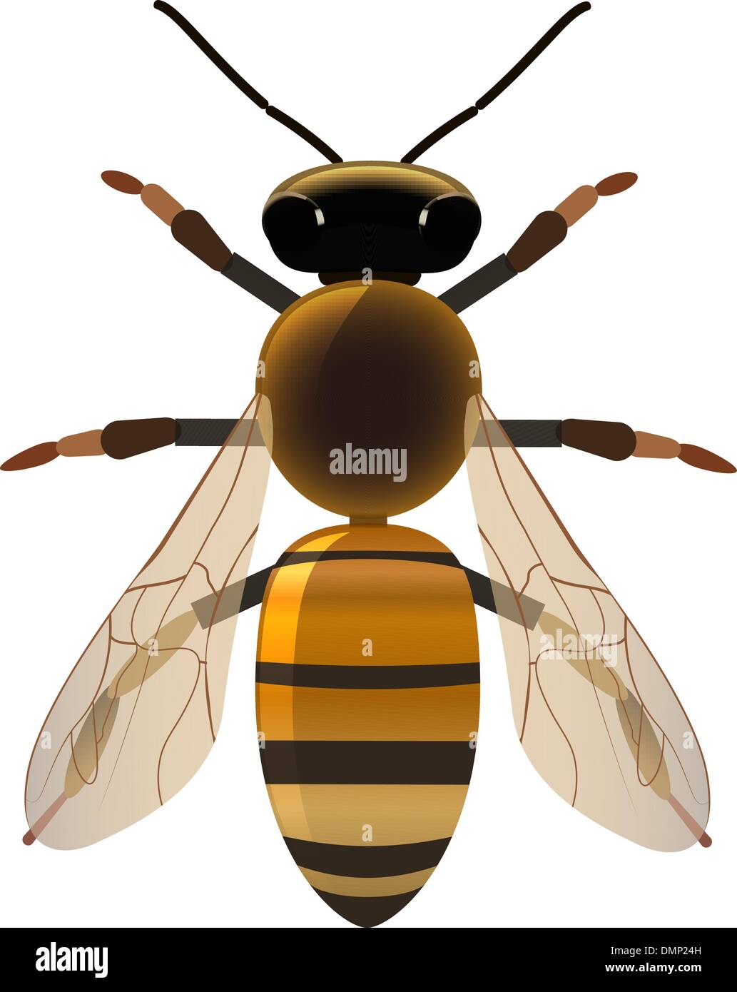 Stylized bee hi-res stock photography and images - Alamy