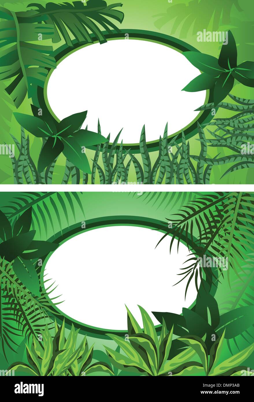 Jungle frame hi-res stock photography and images - Alamy