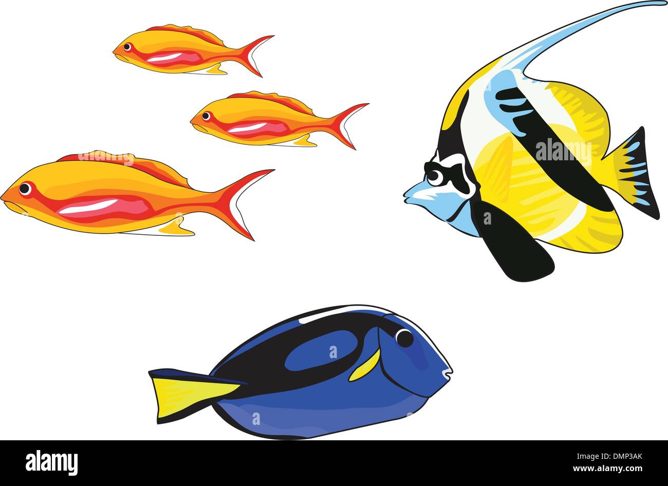 Salt water fish Stock Vector Images - Alamy