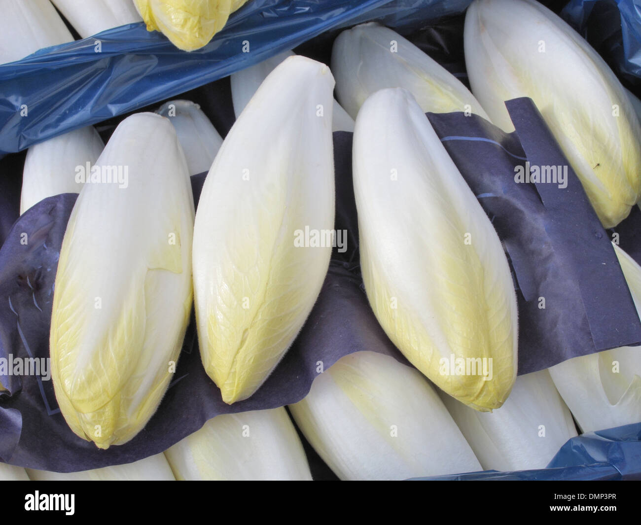Endives hi-res stock photography and images - Alamy