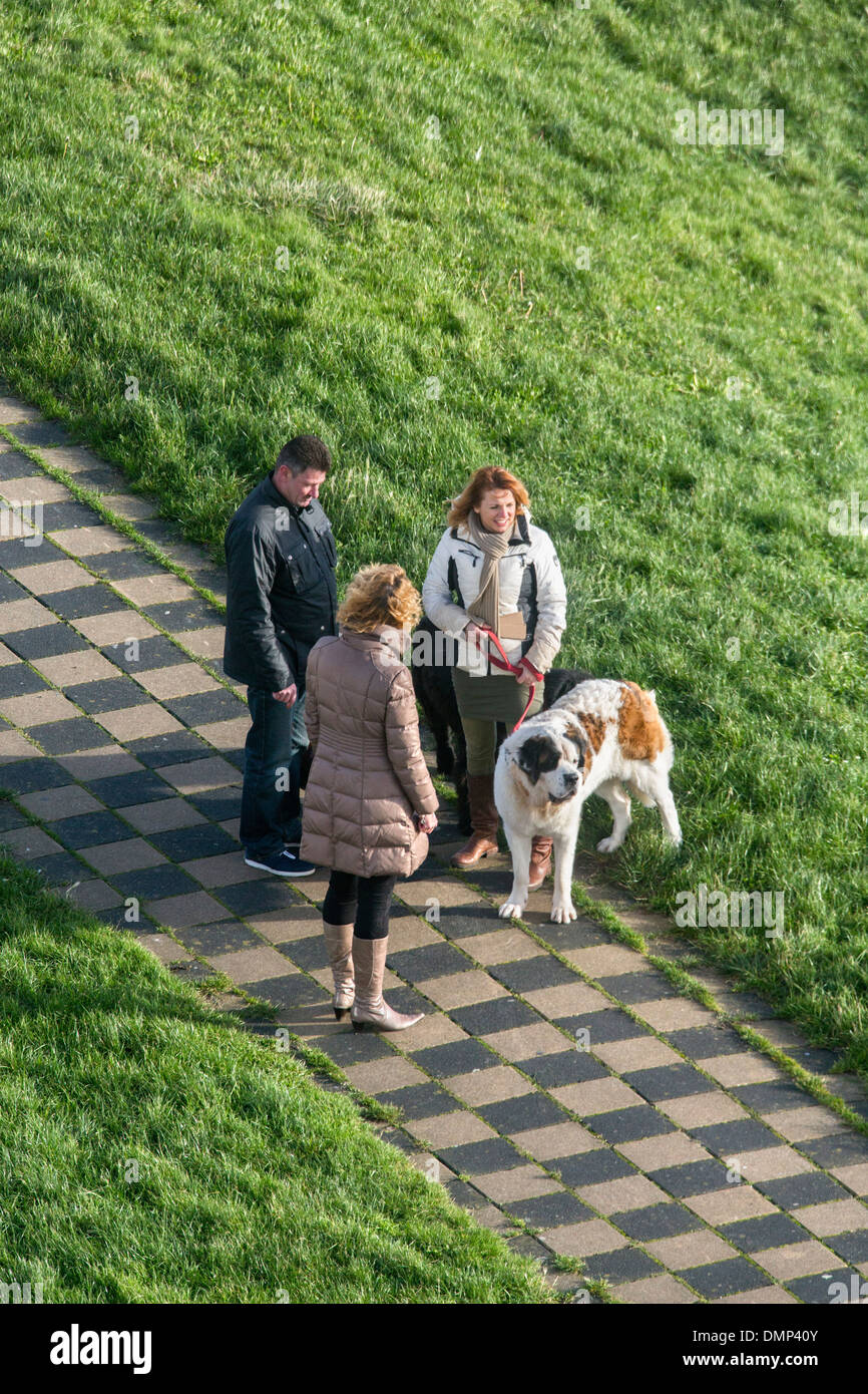 Talking dog hi-res stock photography and images - Alamy