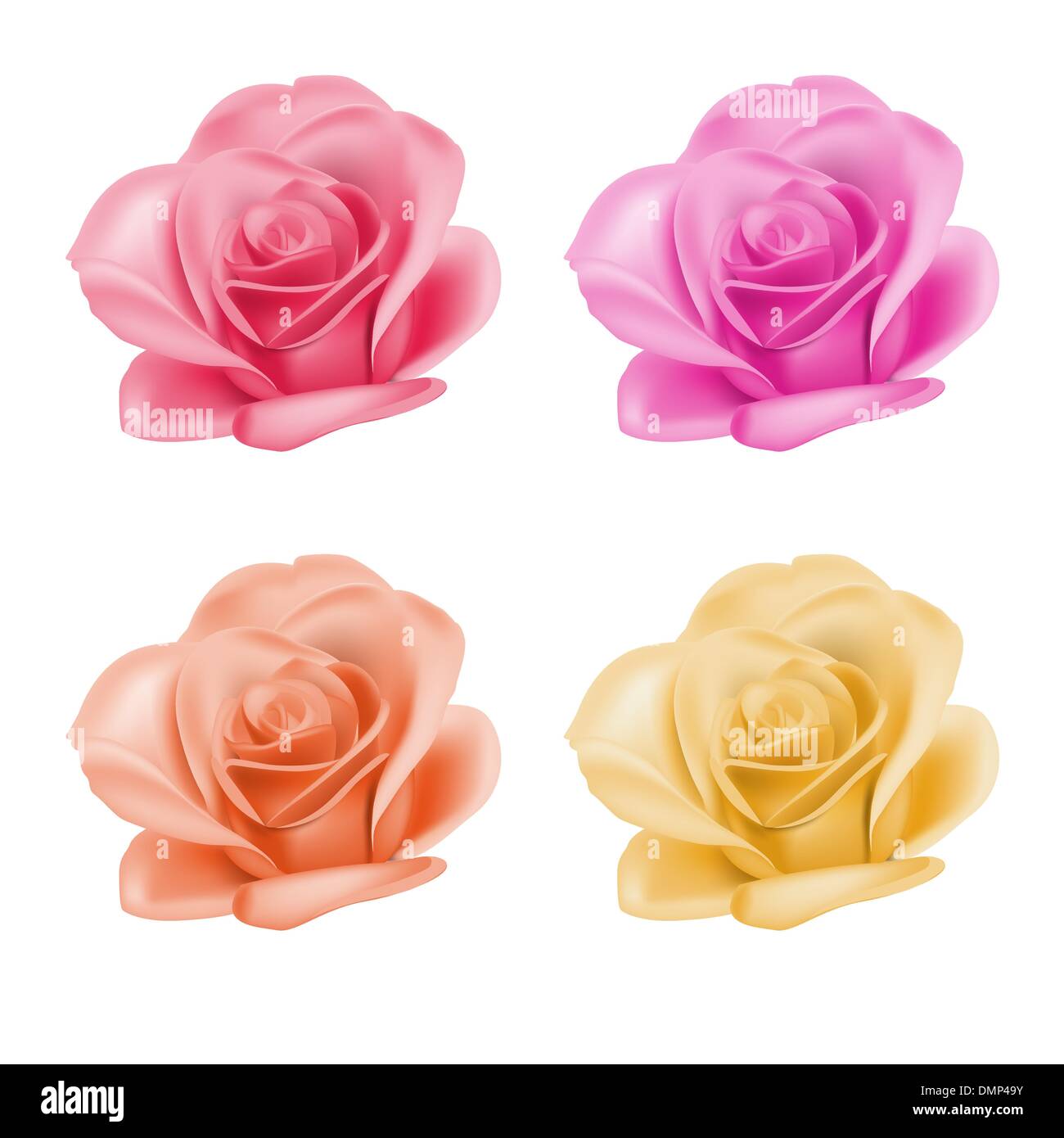 Set of roses Stock Vector Image & Art - Alamy