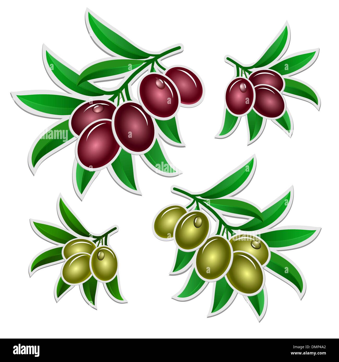 Large olive tree Cut Out Stock Images & Pictures - Alamy