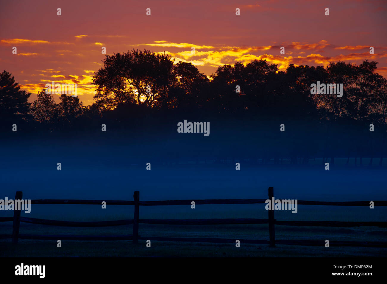 Misty Morning Meadow Sunrise Stock Photo - Alamy
