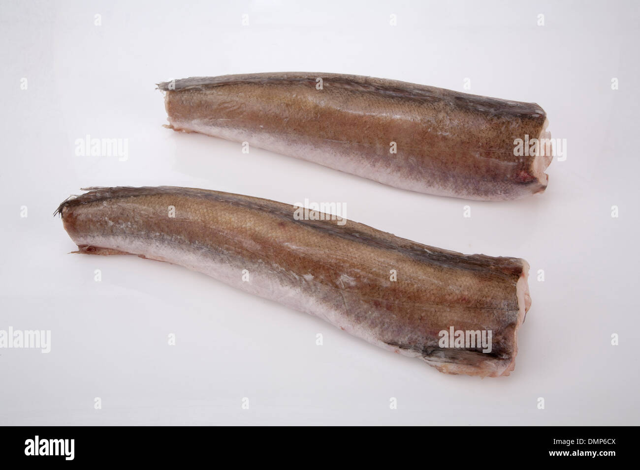 Frozen fish products laid on ice to be showcased for consumption ...