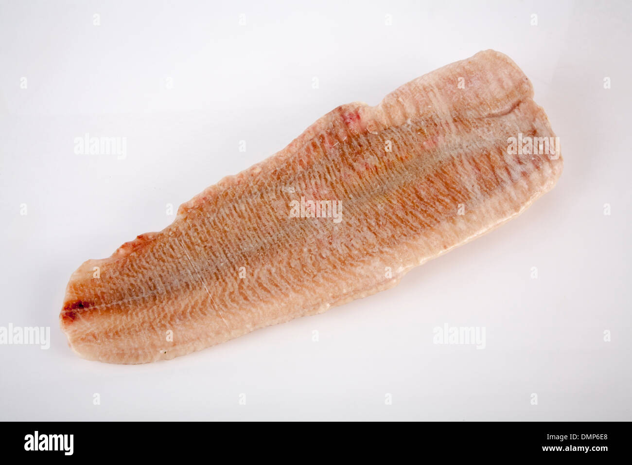 Frozen fish products laid on ice to be showcased for consumption ...