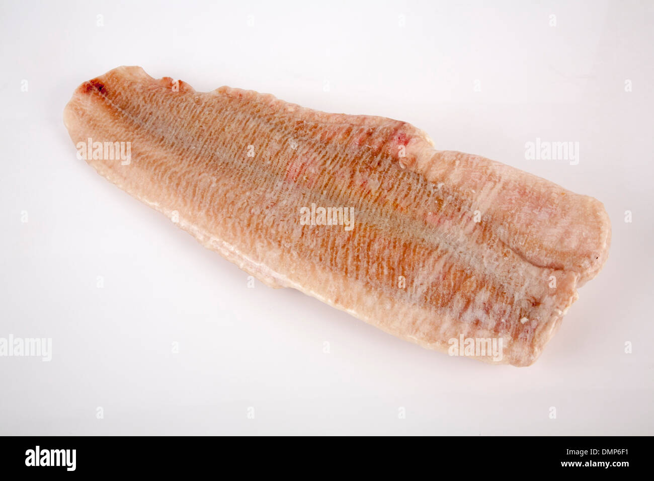 Frozen fish products laid on ice to be showcased for consumption ...