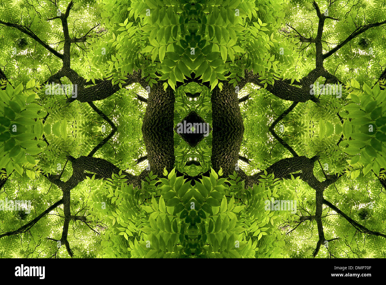 Green geometric shapes hi-res stock photography and images - Alamy