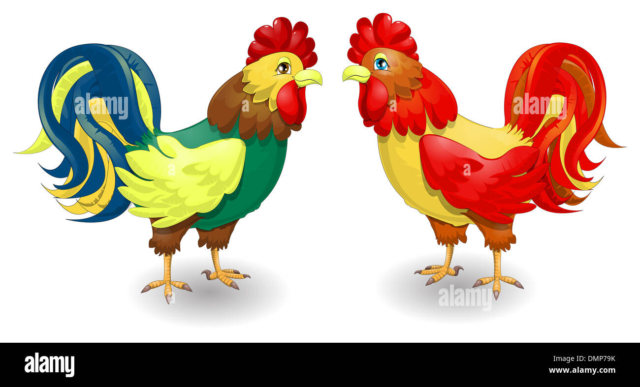 two multi-colored roosters on a white background Stock Photo - Alamy