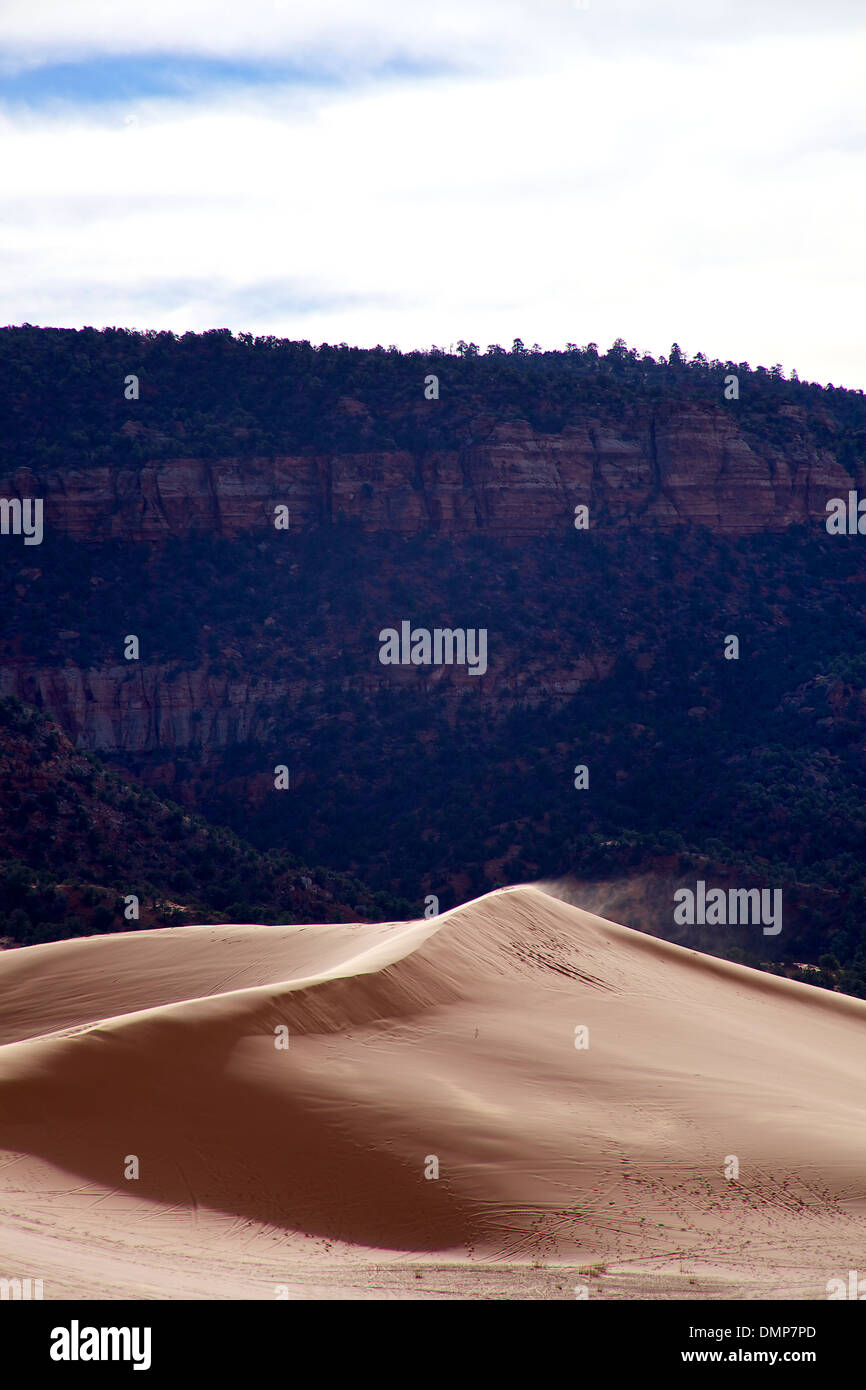 Coral Pink Sand Dunes State Park, Utah, UT, United States of America ...