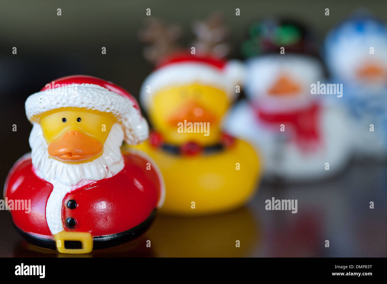Christmas rubber duck hi-res stock photography and images - Alamy