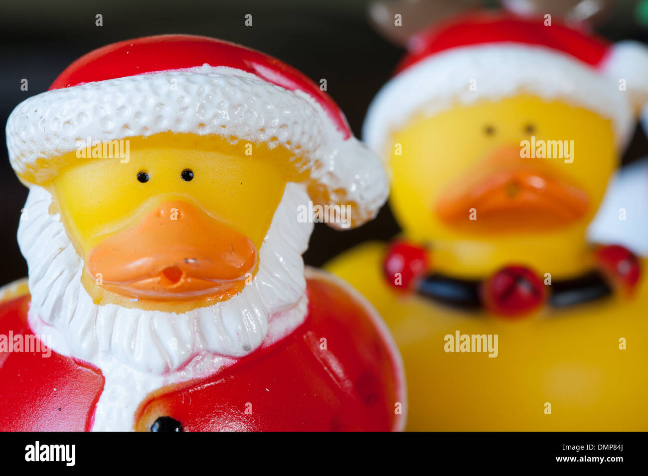 Rubber duck santa hi-res stock photography and images - Alamy