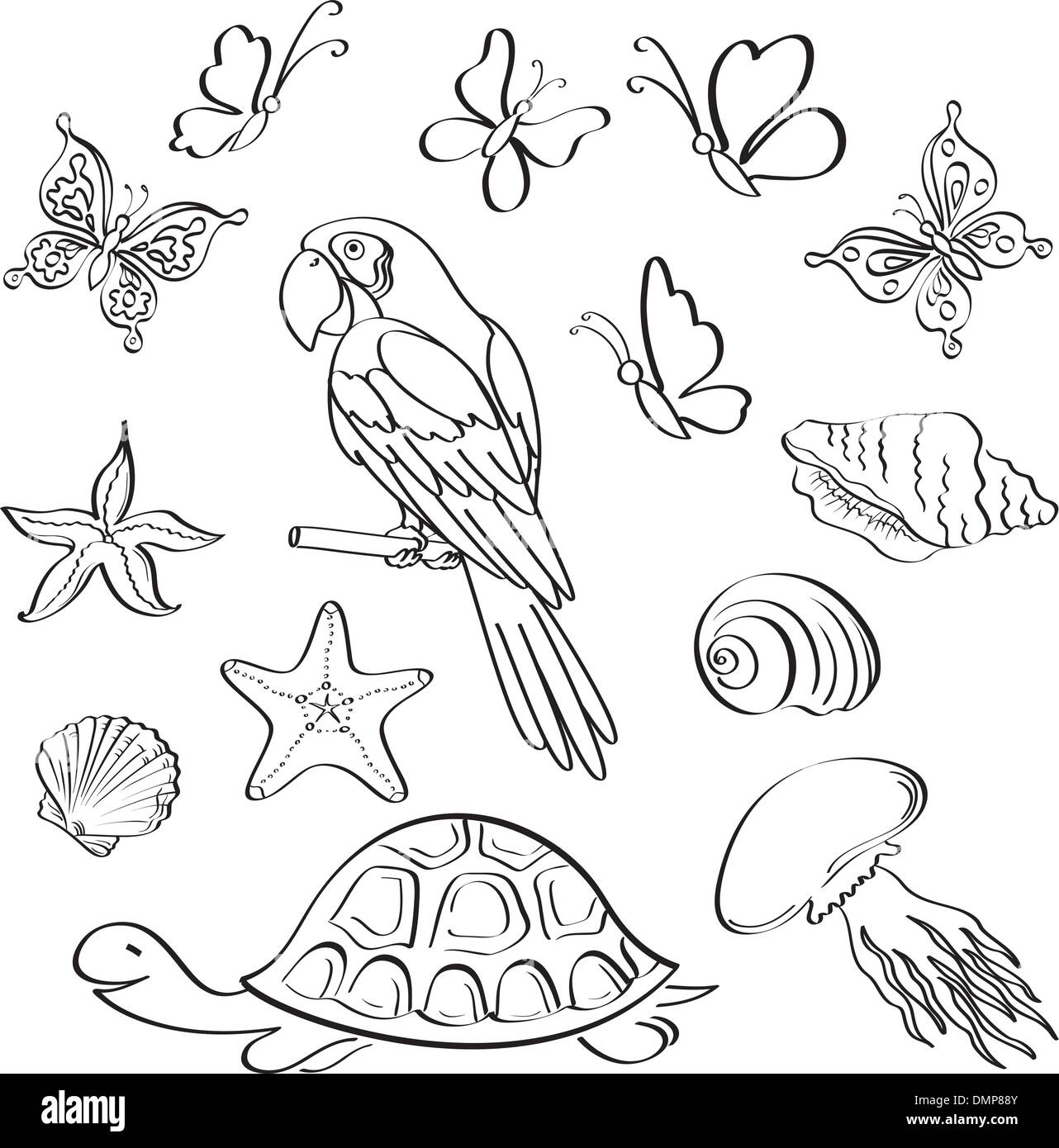 Exotic marine fauna Black and White Stock Photos & Images - Alamy