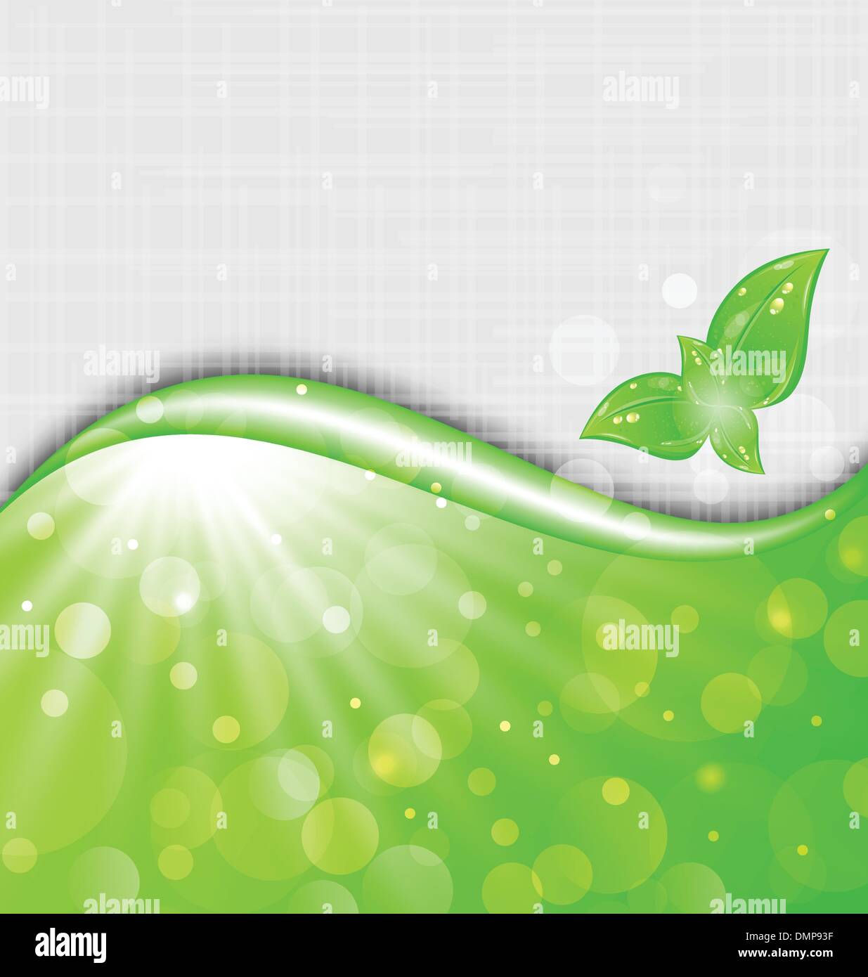 Eco friendly background with leaves Stock Vector Image & Art - Alamy