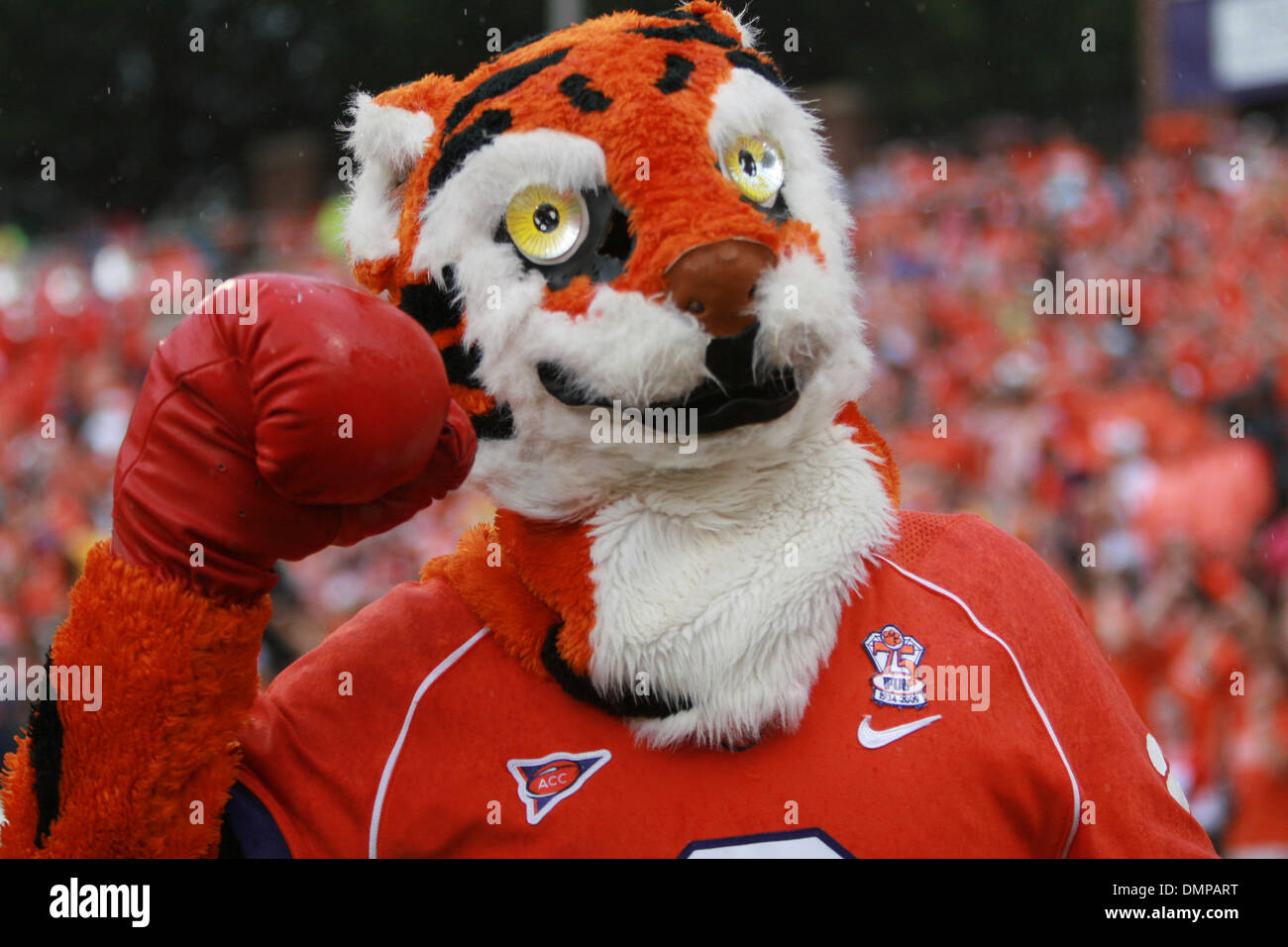 Clemson tiger hi-res stock photography and images - Alamy