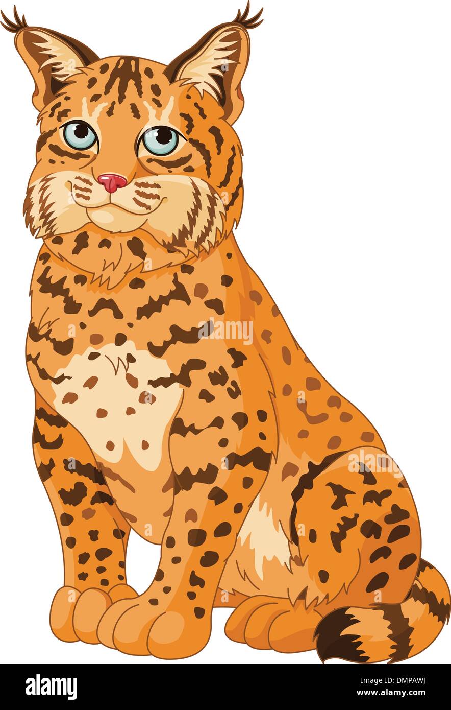 Bobcat vector vectors hi-res stock photography and images - Alamy