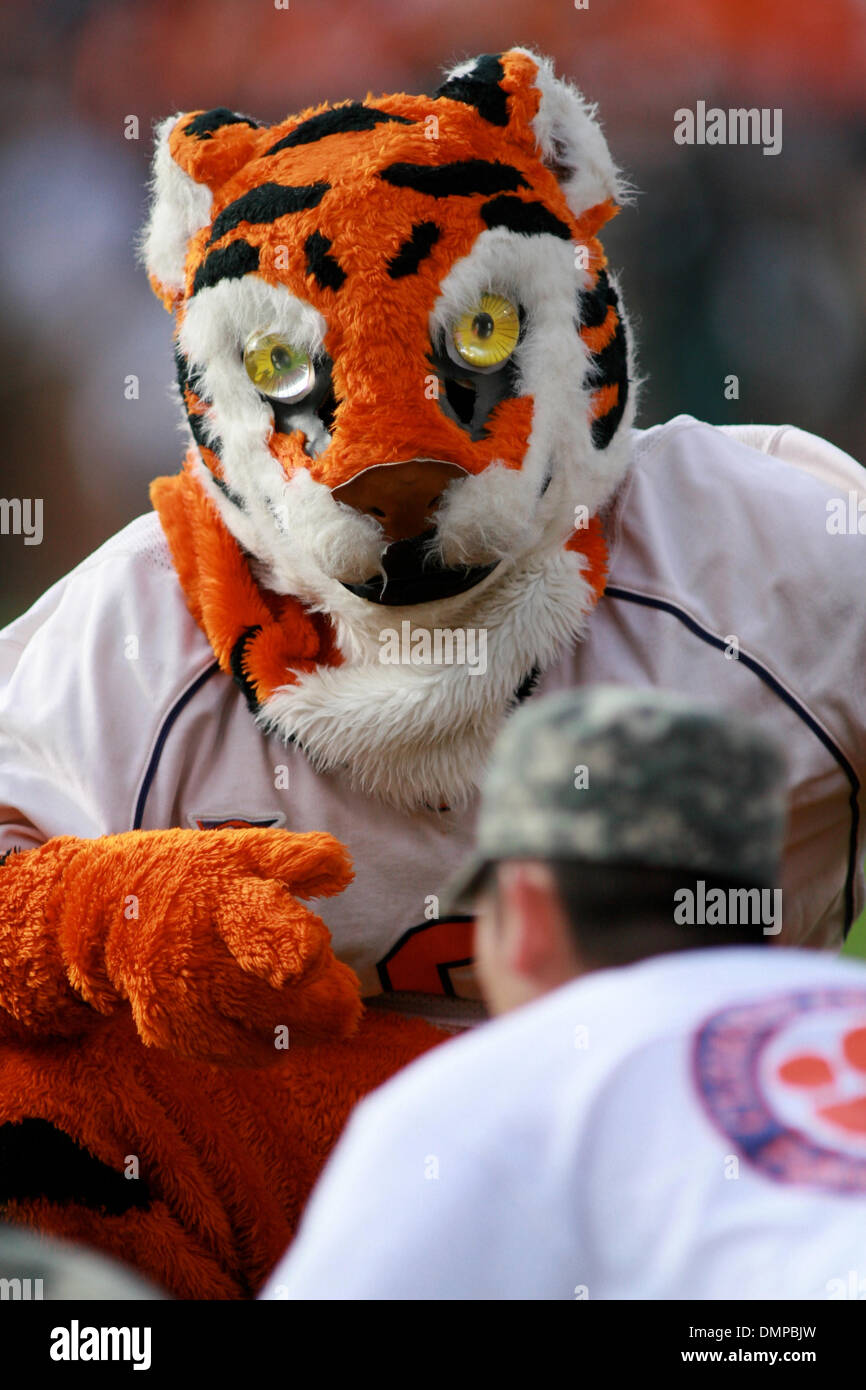 Clemson tiger hi-res stock photography and images - Alamy