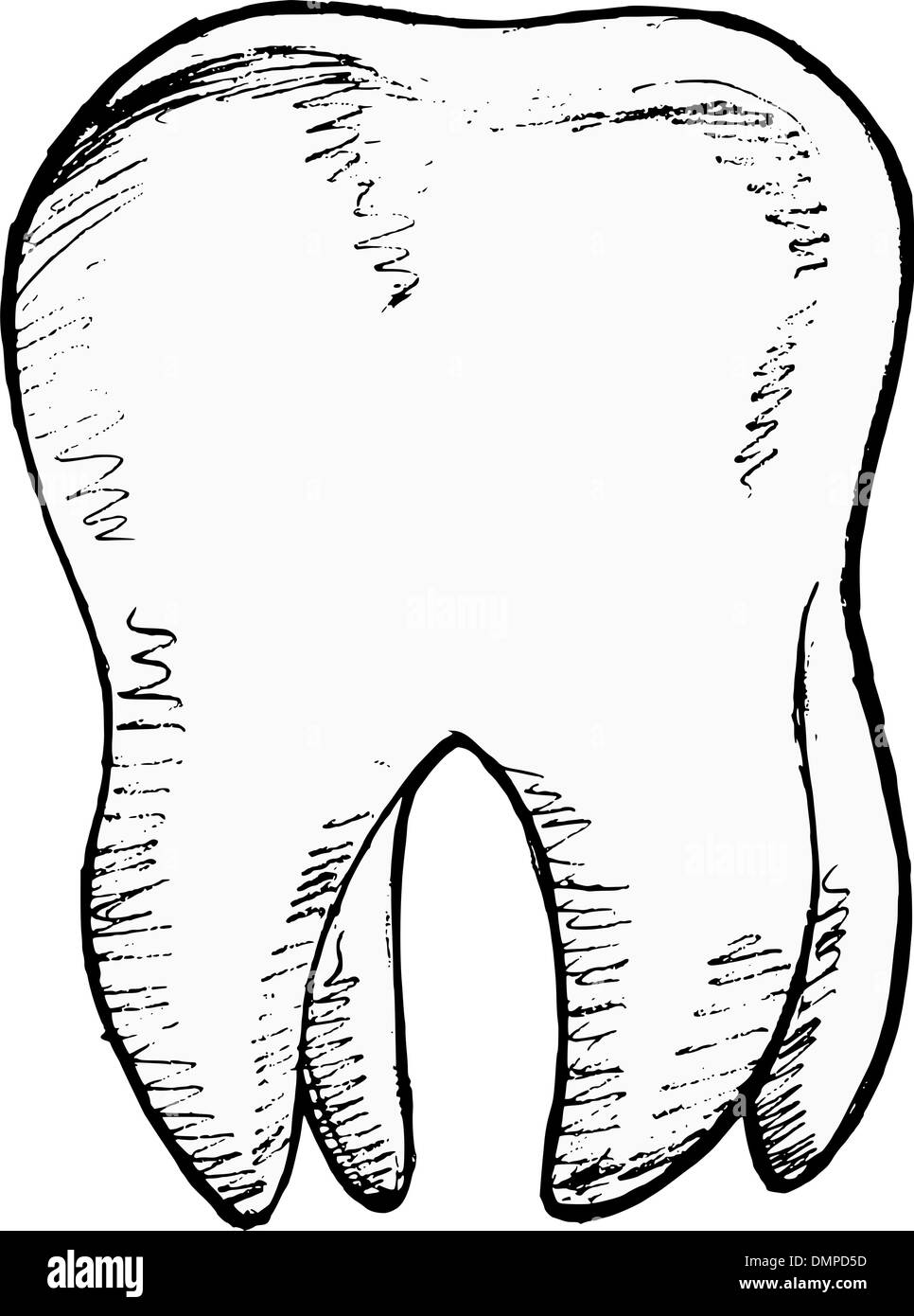 tooth, vector image Stock Vector Image & Art - Alamy