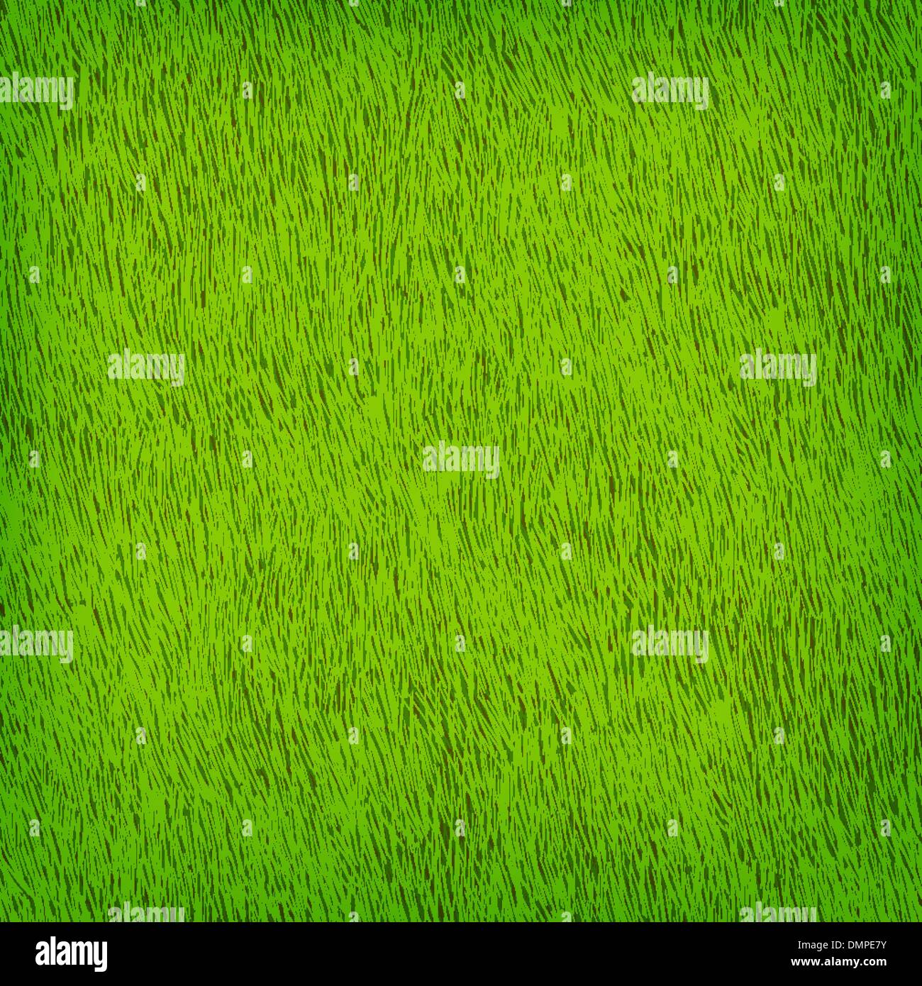 Green grass texture vector background eps 10 Stock Vector Image & Art ...